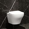 Kohler Apt Wall-hung Toilet