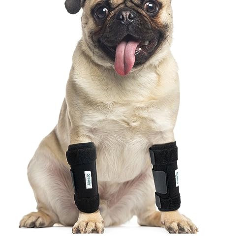 Unleash the Top 10 Splints for Your Furry Friend's Leg - A ...