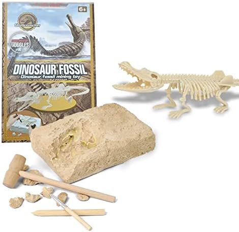 Buy Kidology Dinosaur Fossil Digging Kit for Kids | Dino Fossil Dig Kit ...