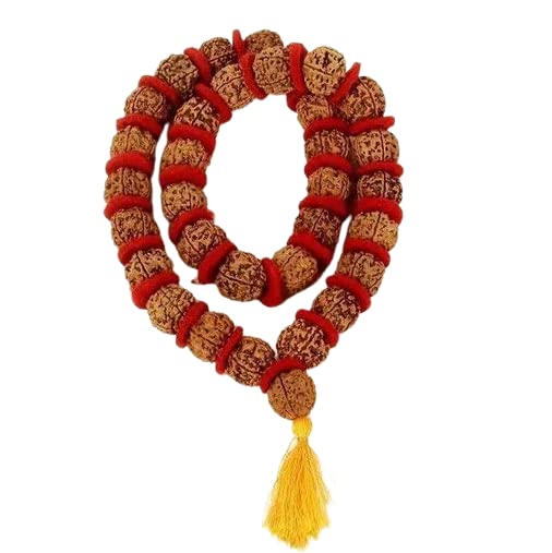OPTIMUS RUDRAKSHA Five Face Kantha Mala Panchmukhi Rudraksha Original ...