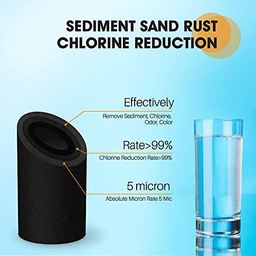 Snapklik.com : PUREPLUS Coconut Shell Water Filter Cartridge Activated ...