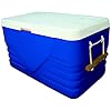 Buy Princeware Plastic Ice Box, 100 Litre, Assorted Online at Low ...