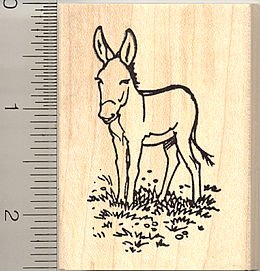 Amazon.com: Donkey Rubber Stamp : Arts, Crafts & Sewing