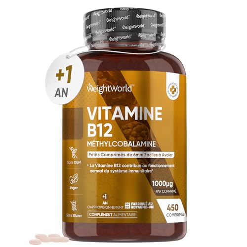 Vitamine B12 : Rôle, Carences, Sources Végétales et Animales