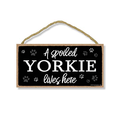 Discover the Top 10 Yorkie Signs to Make Your Pup's Personality Shine ...