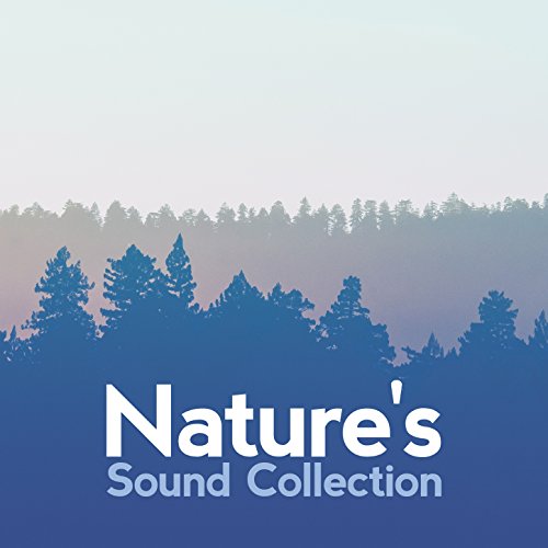 Play Nature's Sound Collection by Nature Sound Collection on Amazon Music