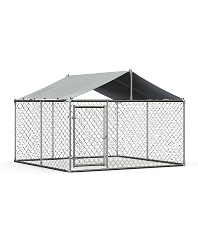 10 Must-Have Dog Cages for Your Outdoor Adventures: A Comprehensive ...