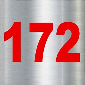 SRGInfotech Number Plate 172 Silver Brushed Type Acrylic Number Plate ...