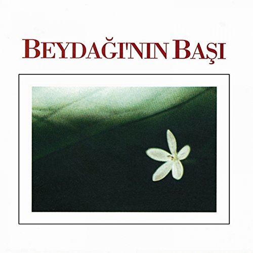 Amazon.com: Beydağının Başı : Ruhi Su: Digital Music