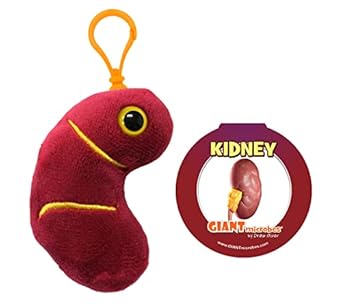 GIANTmicrobes Kidney Plush Keychain – Anatomical Organ Toy, Get Well ...
