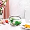 Amazon.com : GANAZONO Office Decor Glass Vase Glass Fish Bowl Clear Terrarium Globe Flower Vase ...