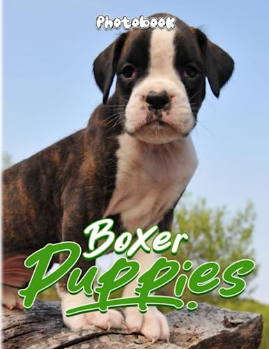 Top 10 Must-Have Products for Your Adorable Boxer Puppy: Buying Guide ...