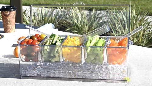 Amazon.com | VAFMAG Ice Chilled Condiment Serving Caddy Dish with 5 ...