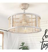 hummingbird 20 Inch Boho Ceiling Fans with Light Flush Mount, Rattan ...