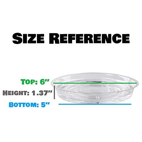 Snapklik.com : UltraOutlet 20 Pack 6 Inches Clear Plastic Plant Saucer ...
