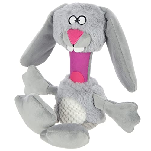 Go Dog Toys – The 15 best products compared - Wild Explained