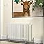 GY Bath Vertical Radiator Traditional 2 Column White Designer ...