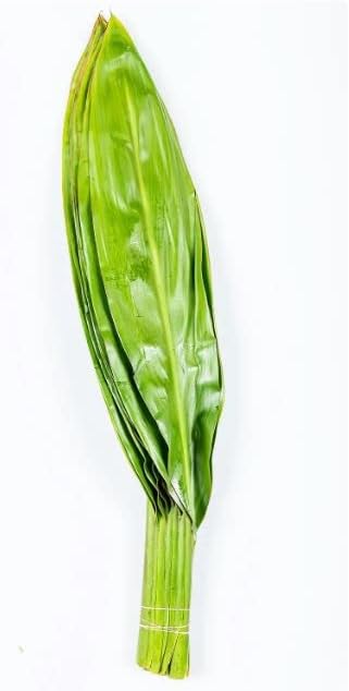 Amazon.com : Fresh Ti Leaf Large Bunch Great Green Long Lasting Grown ...