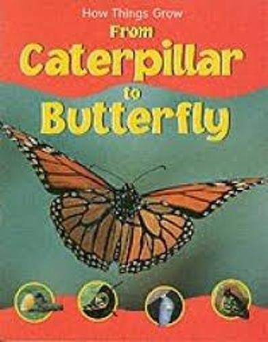From Caterpillar to Butterfly: Sally Morgan: 9781844582556: Amazon.com ...