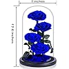 Amazon.com: Preserved Flowers in Glass Dome - Forever Real Roses Gifts ...