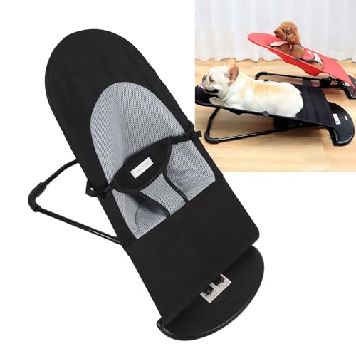 Chair Dog Dune – The 16 best products compared - Outdoors Magazine