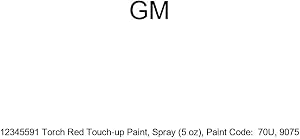 Amazon.com: Genuine GM 12345591 Torch Red Touch-up Paint, Spray (5 oz ...