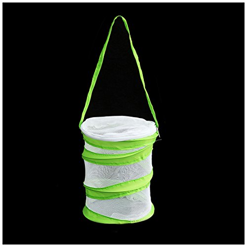 Noblik Small Praying Mantis Stick -up Cage Housing Enclosure | Garden ...