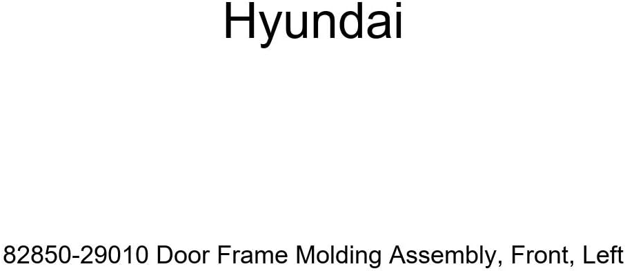 Amazon.com: Genuine Hyundai 82850-29010 Door Frame Molding Assembly ...