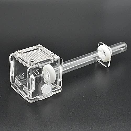 Amazon.com : Ant Farm for Live Ants with Inner Lights - Large Viewing ...