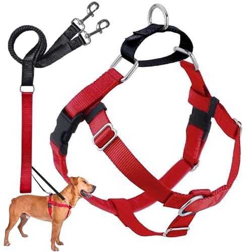 Two Hounds Harness – The 15 best products compared - Wild Explained