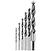 DEWALT Drill Bit Set, Brad Point, 6-Piece (DW1720) , Black - Brad Point ...