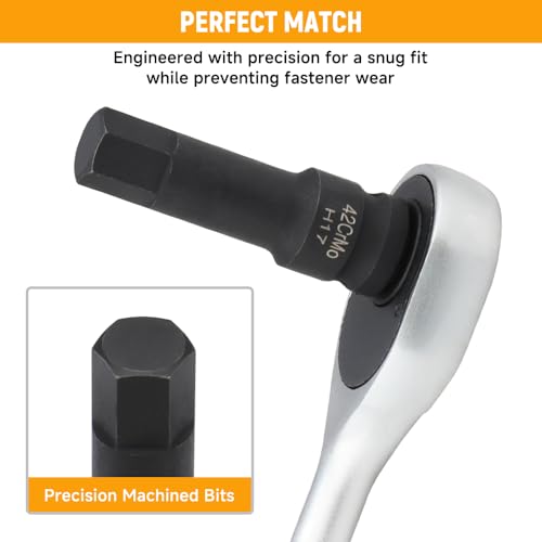 Hoteche 8PC 1/2-Inch DR Multi-Tooth Nut Set – CR-MO Material, M5-M18 ...