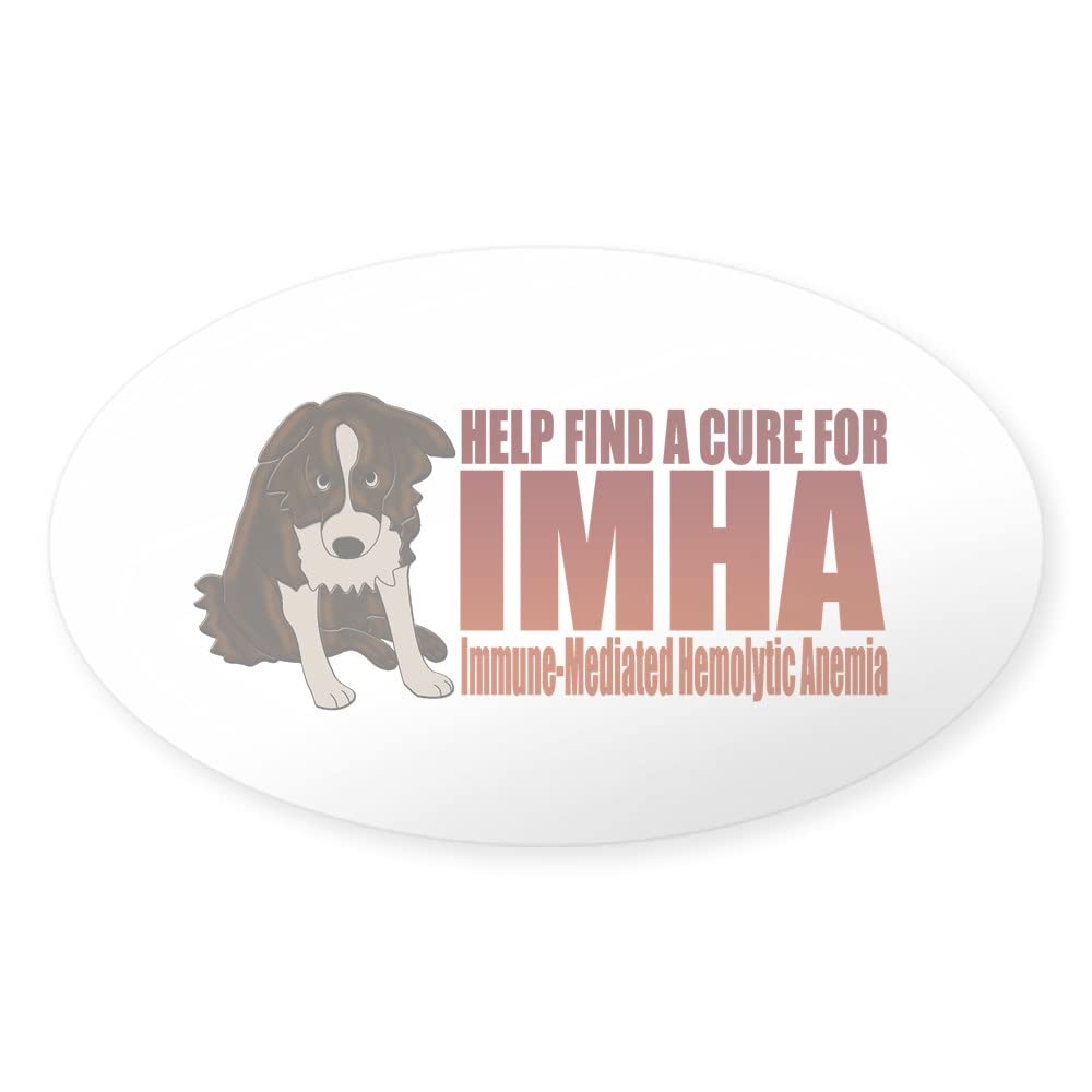 Can Imha In Dogs Be Cured