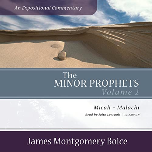 Amazon.com: The Minor Prophets: An Expositional Commentary, Volume 1 ...