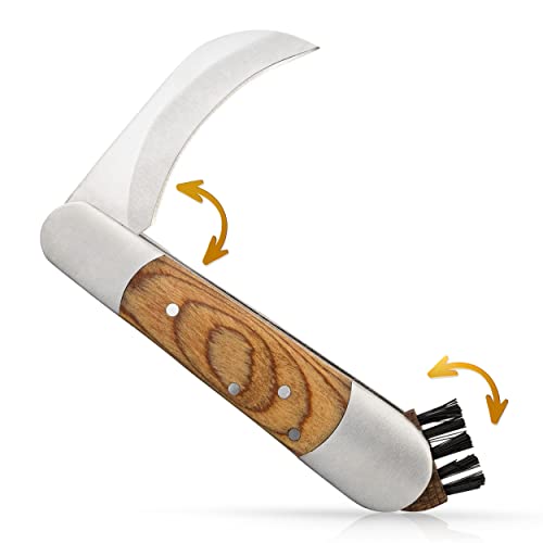 Pilzmesser kaufen – Die 15 besten Produkte im Vergleich - Die besten ...