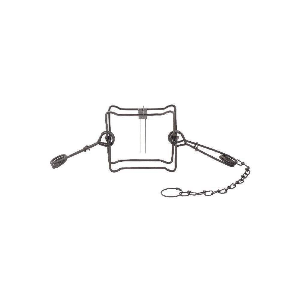 Duke Company 0420 Piège à animaux : Amazon.ca: Terrasse et Jardin