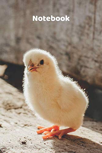 Chick Notebook: Blank Diary and Journal with Baby Chicken (Cute Animals ...