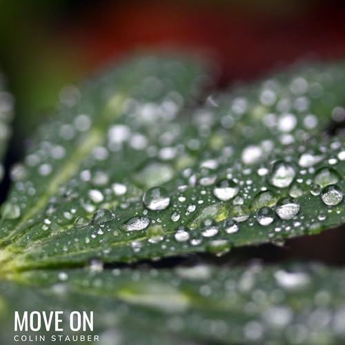 Amazon MusicでColin StauberのMove Onを再生する