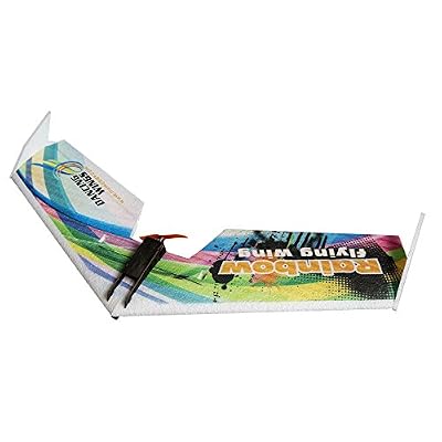 31 Delta Wing EPP Plane Model Rainbow Fly Wing 800mm Philippines | Ubuy