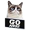Amazon.com: Trends International Grumpy Cat Go Away Wall Poster 22.375 ...