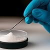 Amazon.com: Micro Spoon Combo Pack (5 to 15mg, 25 to 35mg) Micro Scoop ...