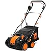 Amazon.com: WEN DT1516 16-Inch 15-Amp 2-in-1 Electric Dethatcher and ...