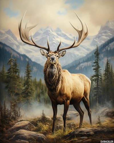 Amazon.com: Paint by Number for Adults, Rocky Mountain Elk, Oil ...