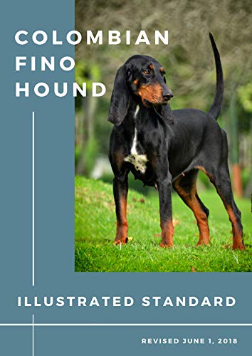 At What Age Is A Colombian Fino Hound Full Grown