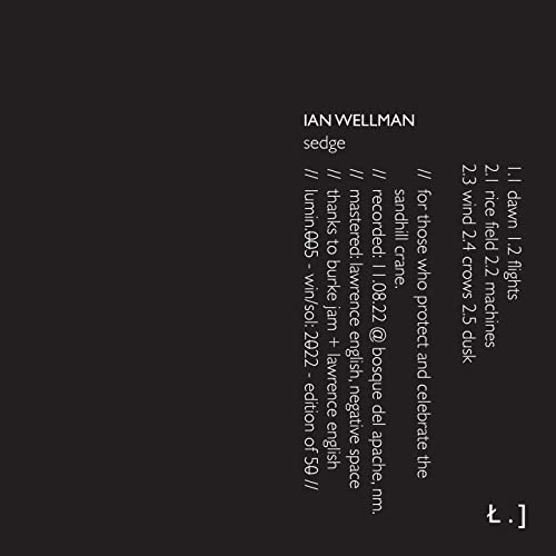 Amazon.co.jp: Sedge : Ian Wellman: デジタルミュージック