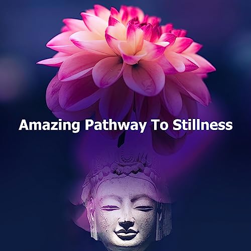 Play Amazing Pathway To Stillness by Buddist Chai Monks on Amazon Music
