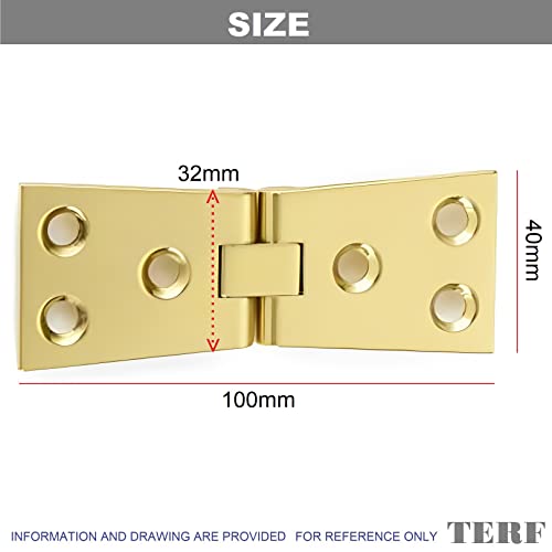 TERF Heavy Duty Polished Brass Counter Flap Hinges 100mm X 32mm (4” X 1 ...