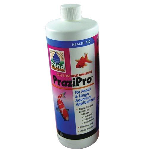 Buy Hikari Usa AHK73358 Pond Prazipro for Aquarium, 1-Gallon Online at ...