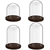 Amazon.com: Suclain 4 Pcs Glass Display Dome Cloche Clear Dome Cloche ...
