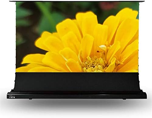 Amazon.com: Projector Screen, 4K 16:9 Electric Motorized Floor Rising ...
